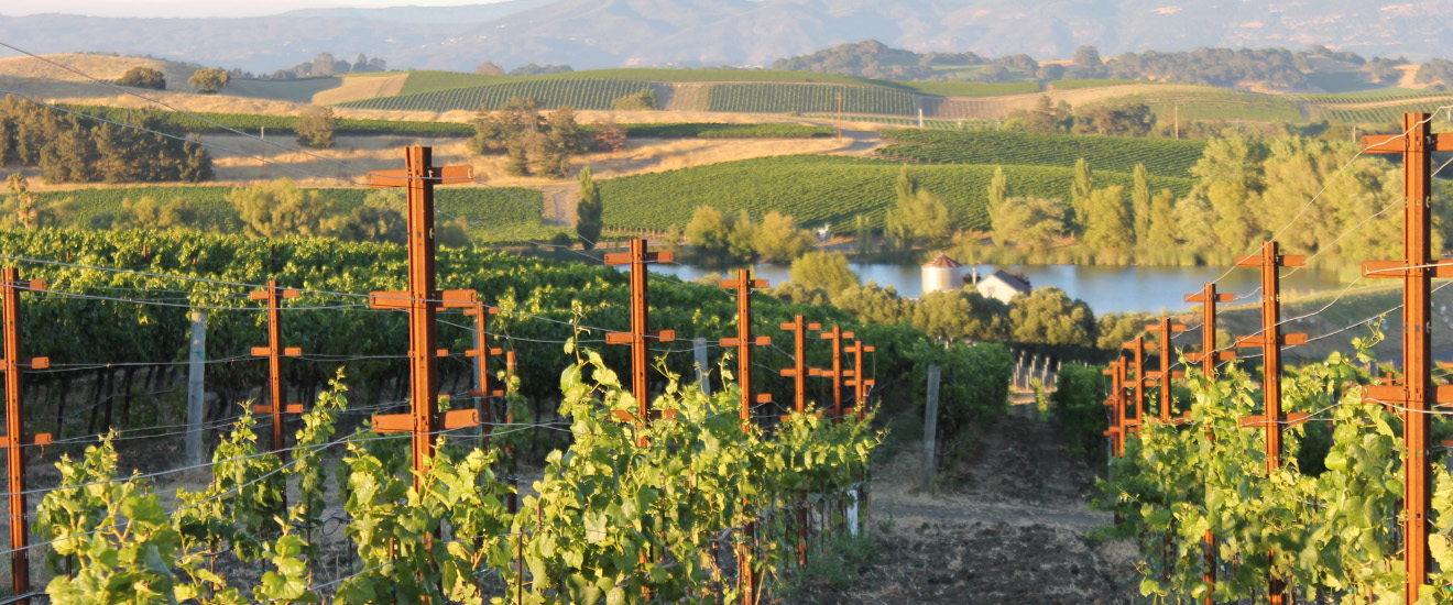 Spring Events Blooming in Napa - Riversound